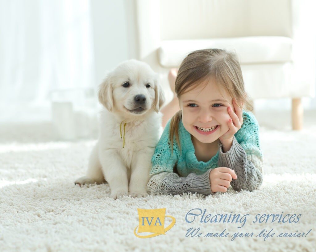 Pet-Safe Carpet Cleaning Products: Keep Your Home Clean And Safe For ...