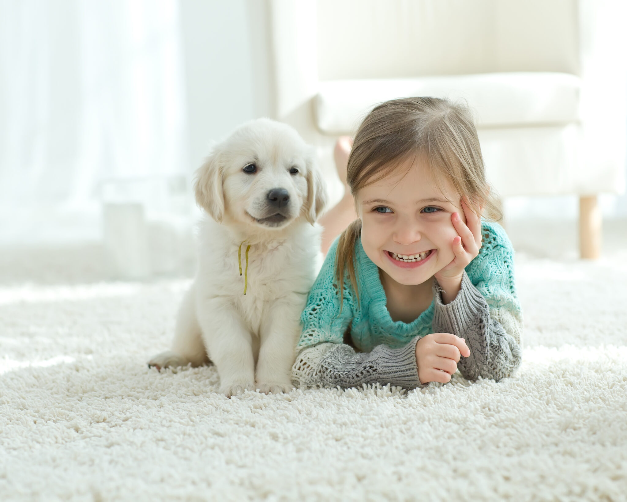 Pet-Safe Carpet Cleaning Products: Keep Your Home Clean And Safe For ...